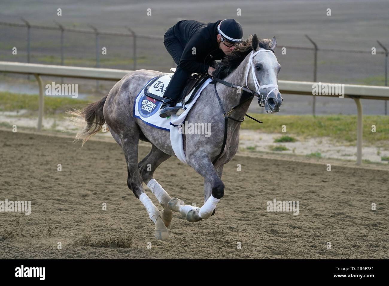 Tapit Trice trains ahead of the Belmont Stakes horse race, Friday, June ...