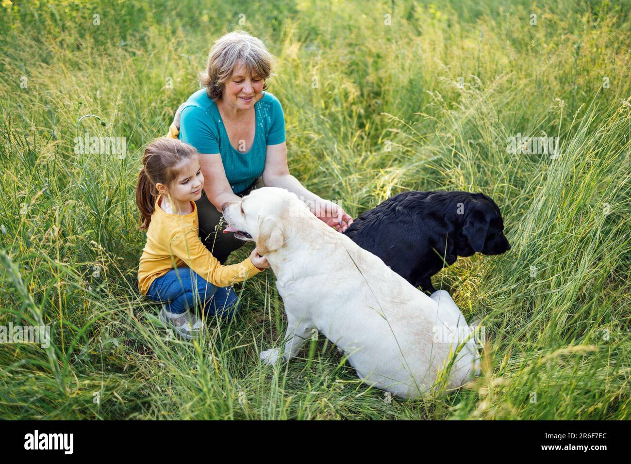 Gray-haired grandmother and cute little granddaughter are walking their ...