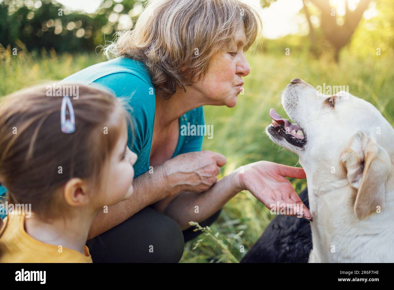 Gray-haired grandmother and cute little granddaughter are walking their ...