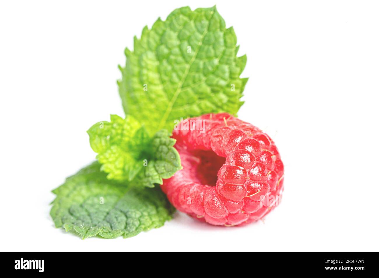 Fresh, ripe raspberries and lush green leaves on a plain white ...