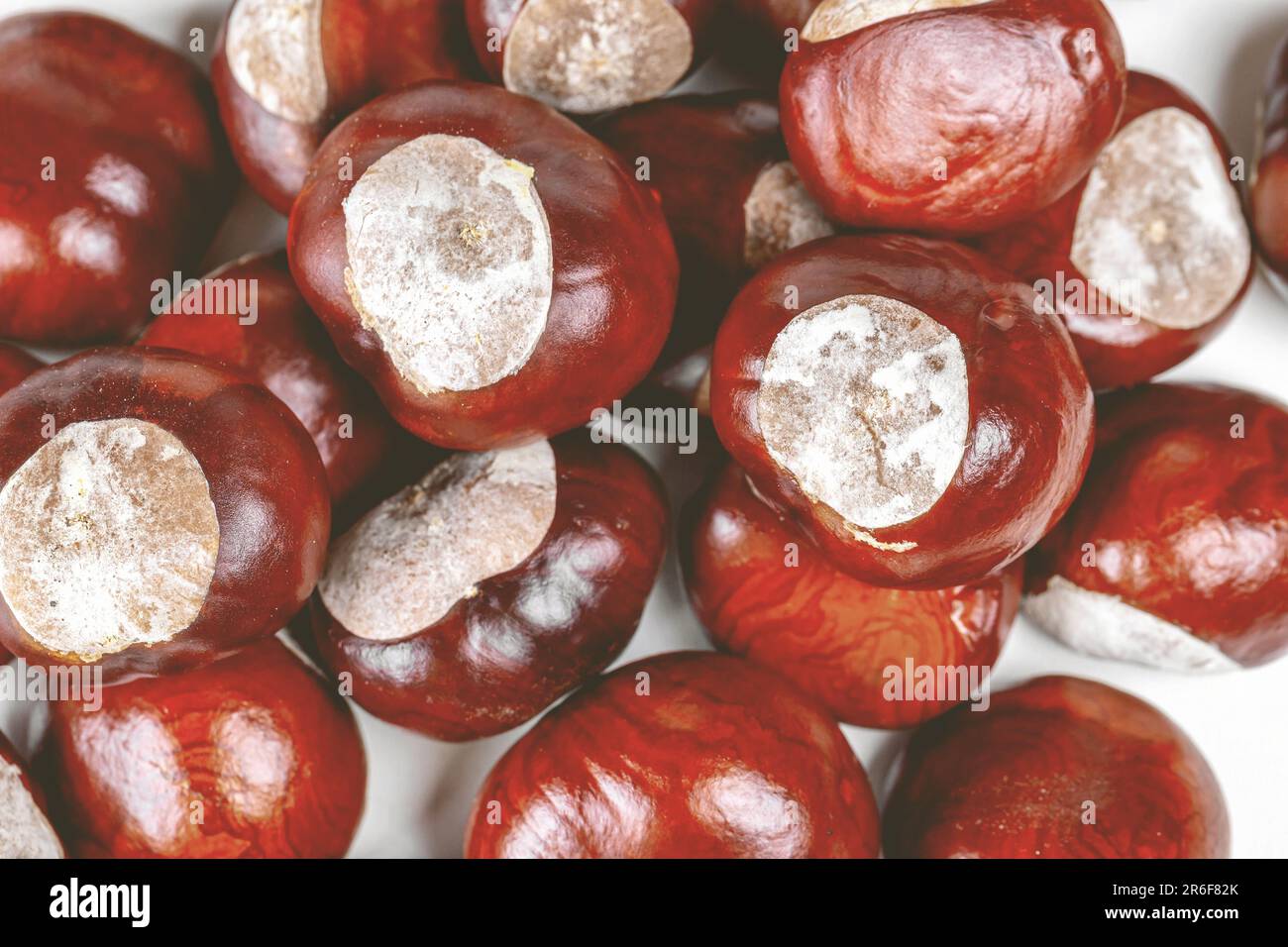 A fresh display of chestnuts on a table surface Stock Photo - Alamy