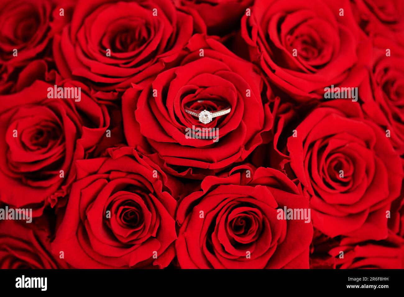 Beautiful bouquet of bright red roses with diamond engagement ring, top ...