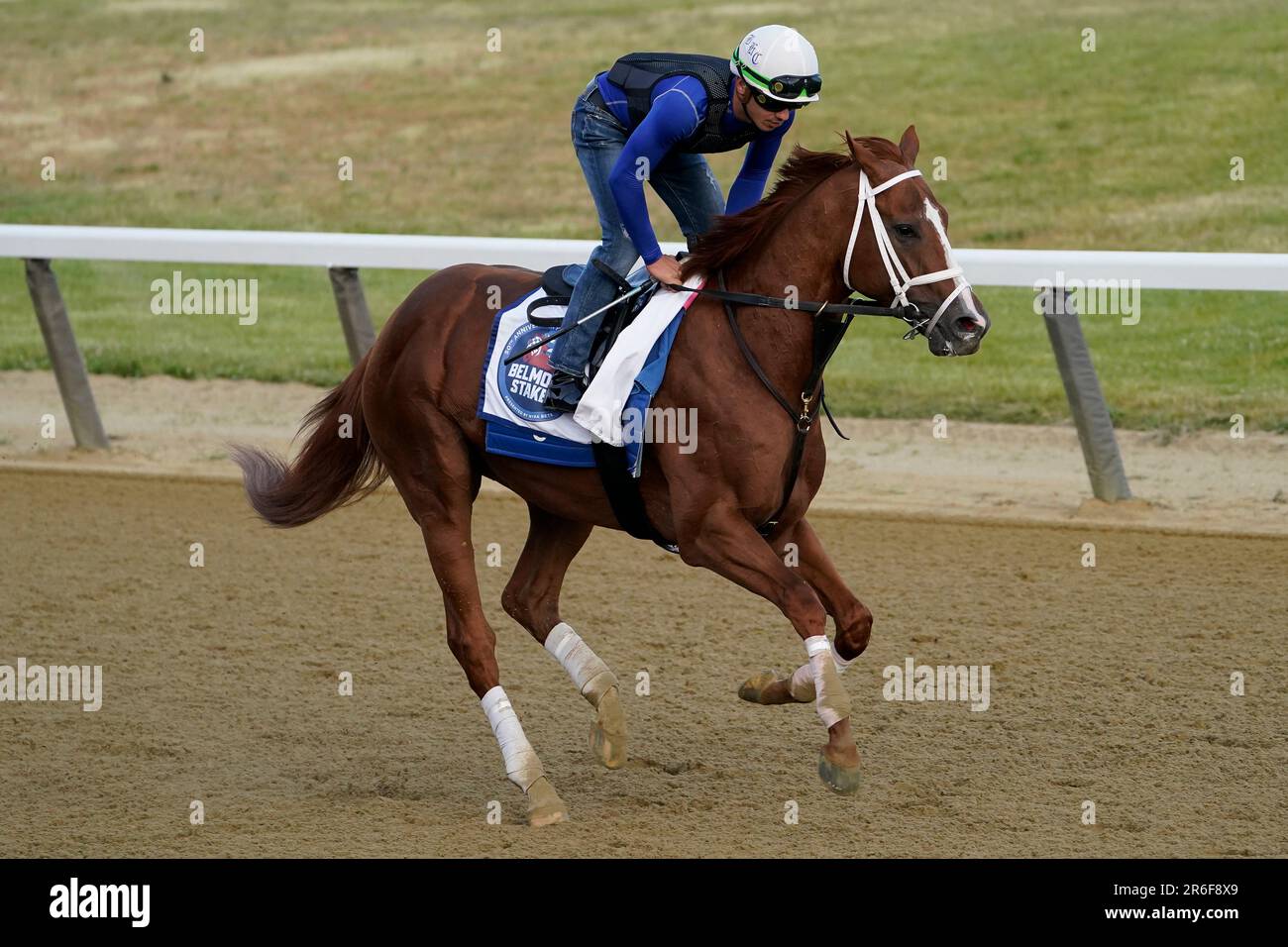 Tapit Shoes trains ahead of the Belmont Stakes horse race, Friday, June ...