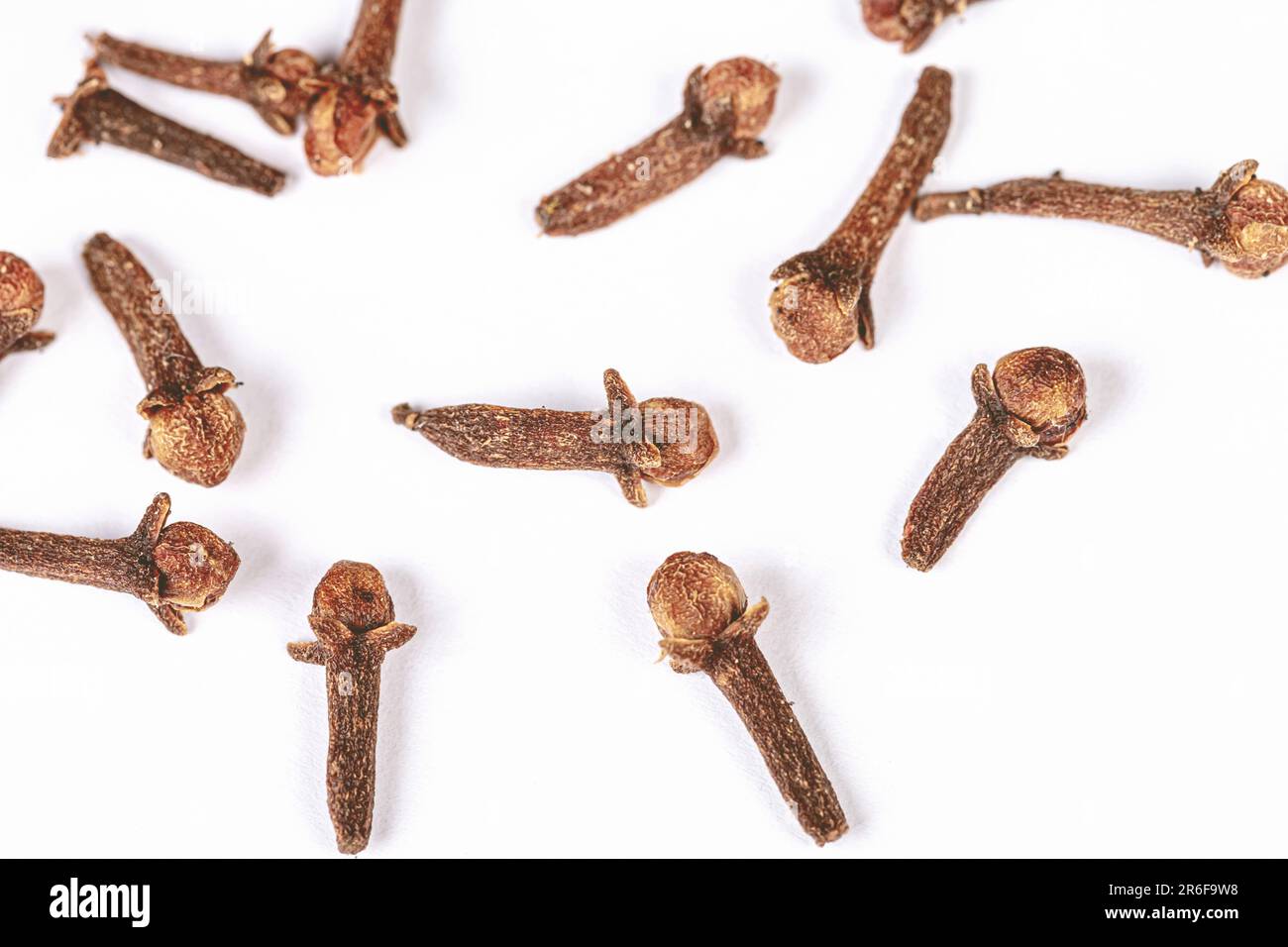 A white background featuring a collection of small, nut-shaped tree ...