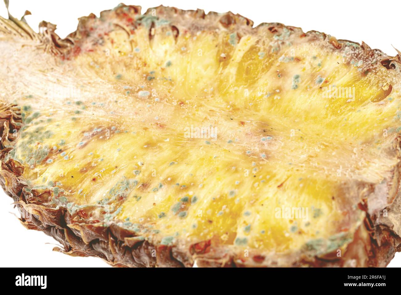 A close-up photo of a yellow pineapple, exhibiting signs of rot, with a ...