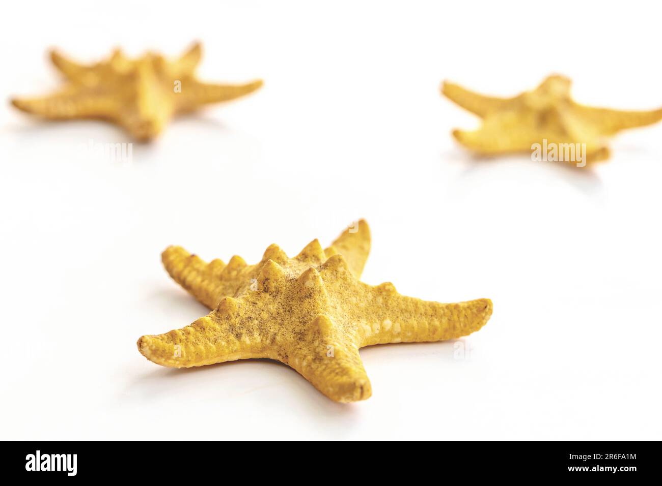 A close-up shot of three starfish arranged in a triangle formation on a ...