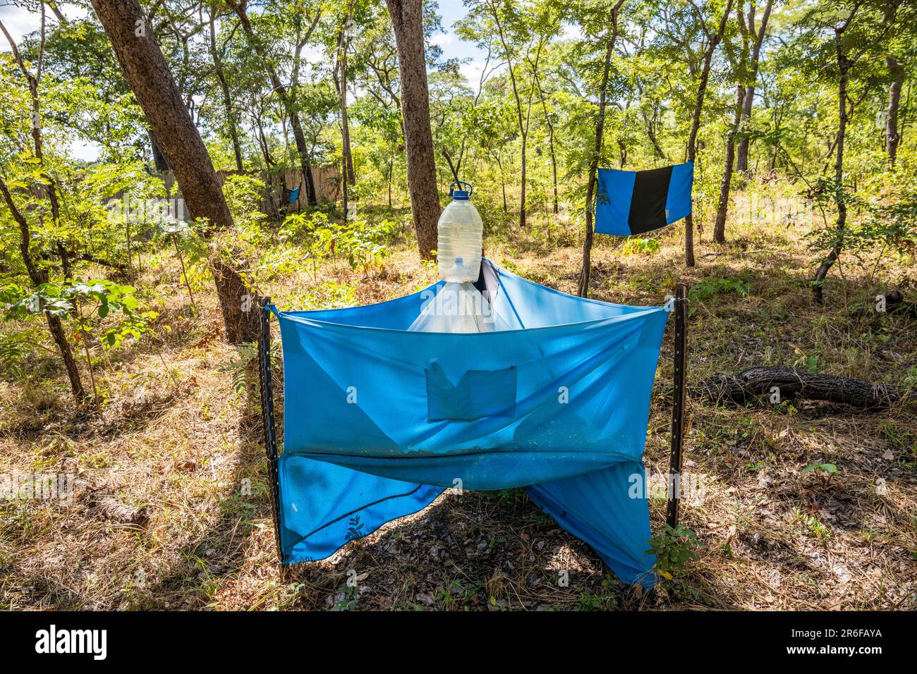 Black and blue Tsetse fly trap in Nkhotakota wildlife reserve, Malawi ...