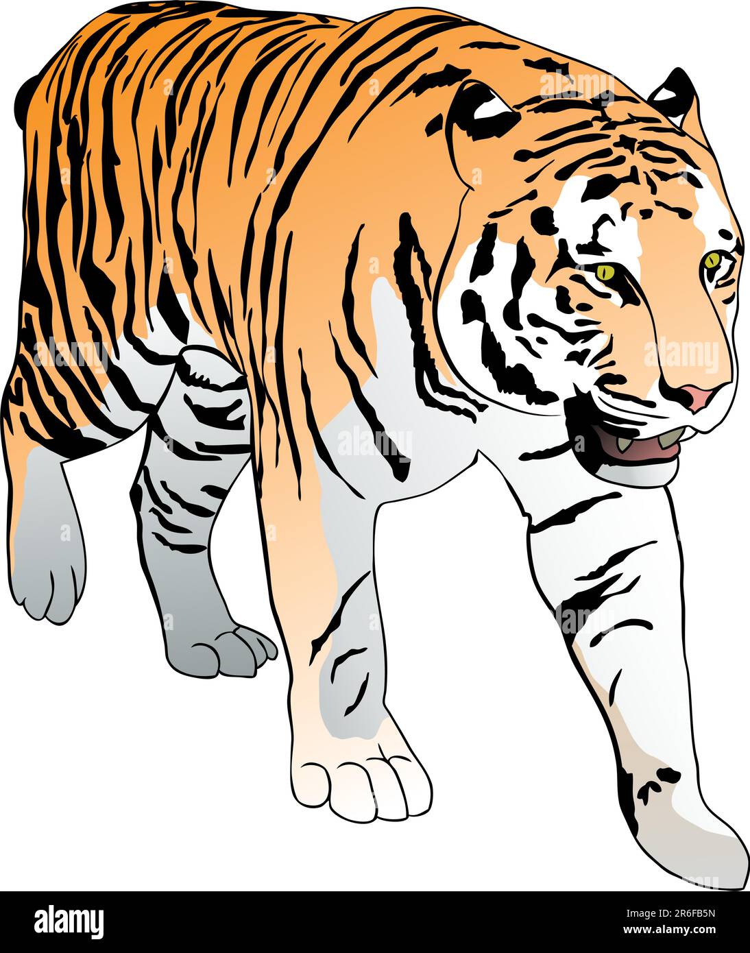 Standing Bengal tiger. Hand drawn vector illustration Stock Vector ...
