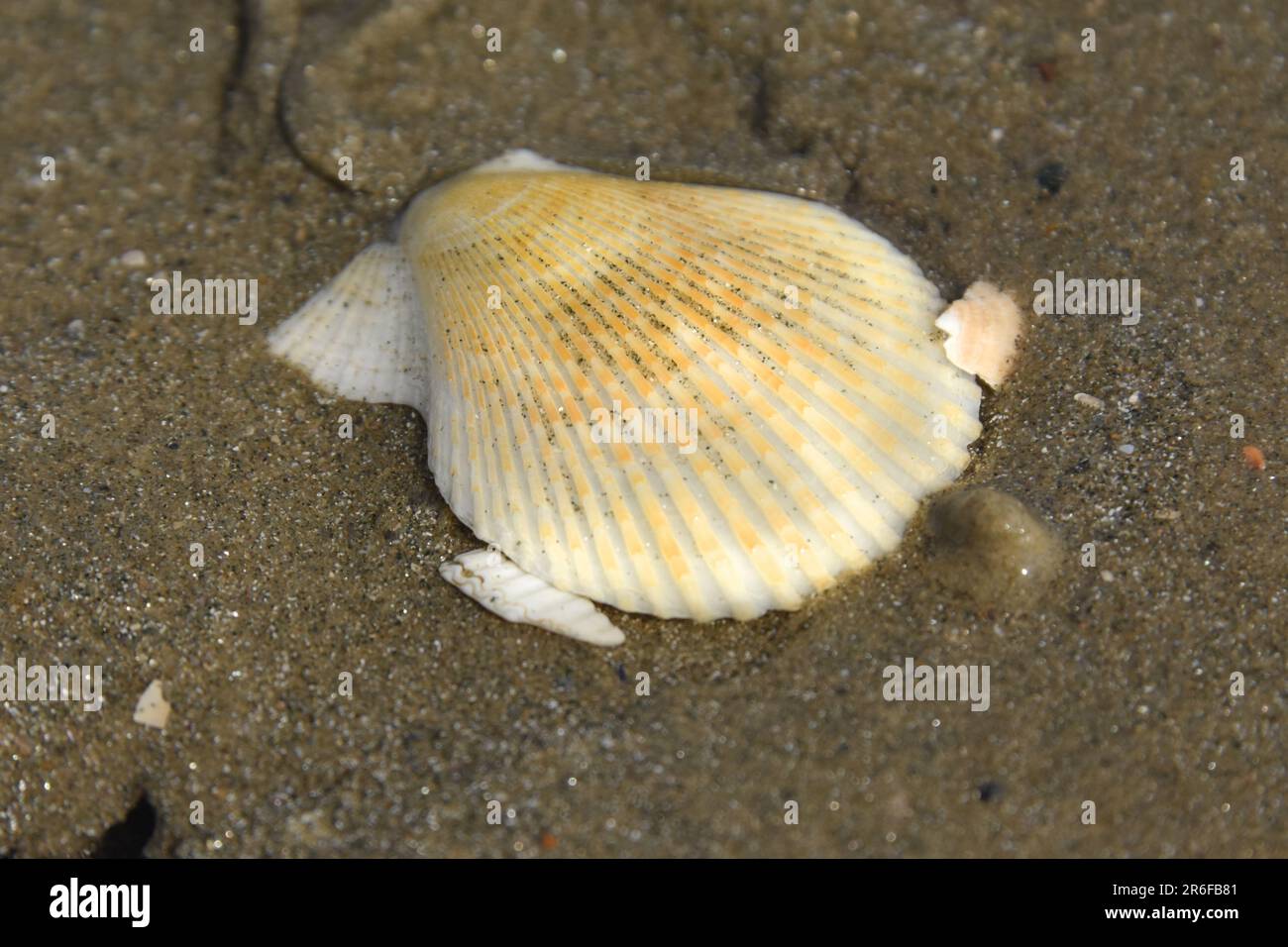 Hollydays beach hi-res stock photography and images - Alamy