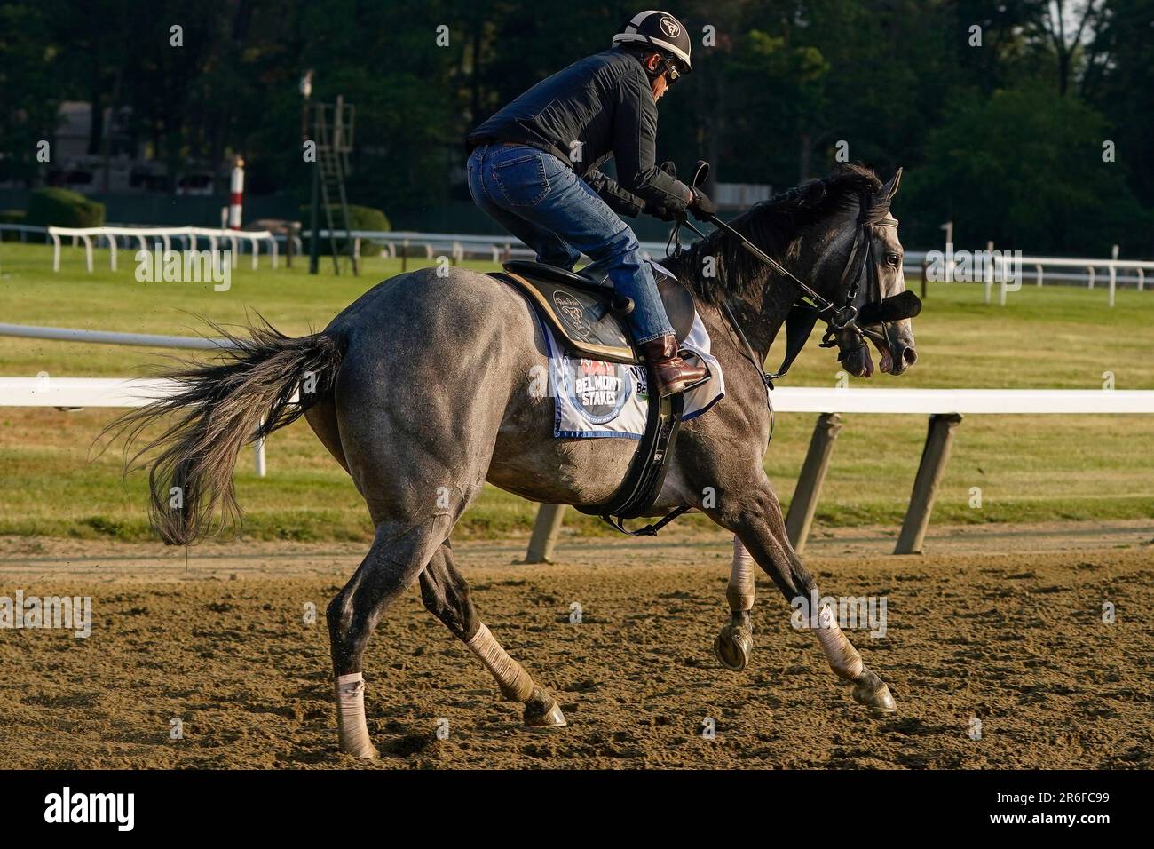 Arcangelo trains ahead of the Belmont Stakes horse race, Friday, June 9 ...