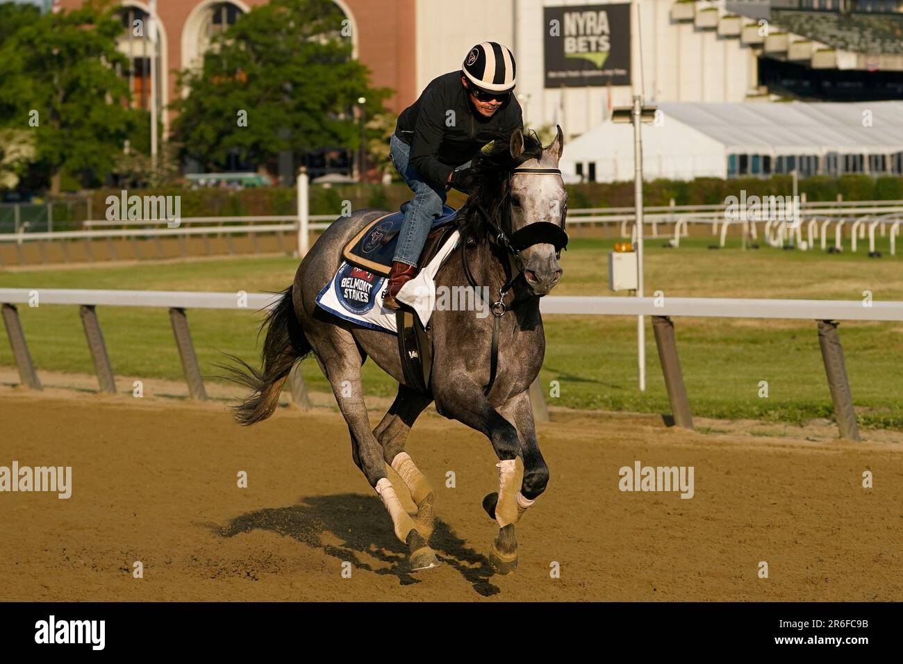 Arcangelo trains ahead of the Belmont Stakes horse race, Friday, June 9 ...