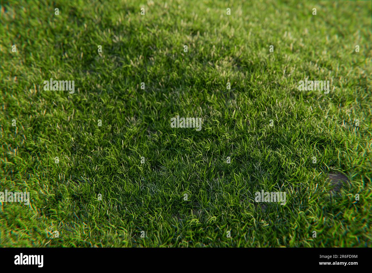 Green grass nature lawn floor. Green grass background texture. Green ...
