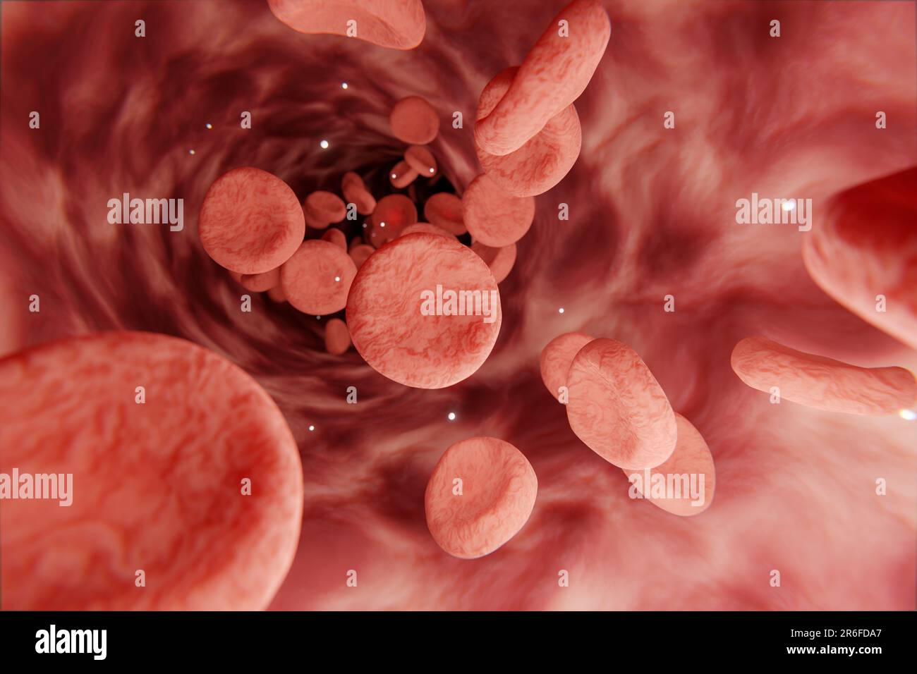 Red blood cells in vein or artery, flow inside inside a living organism ...