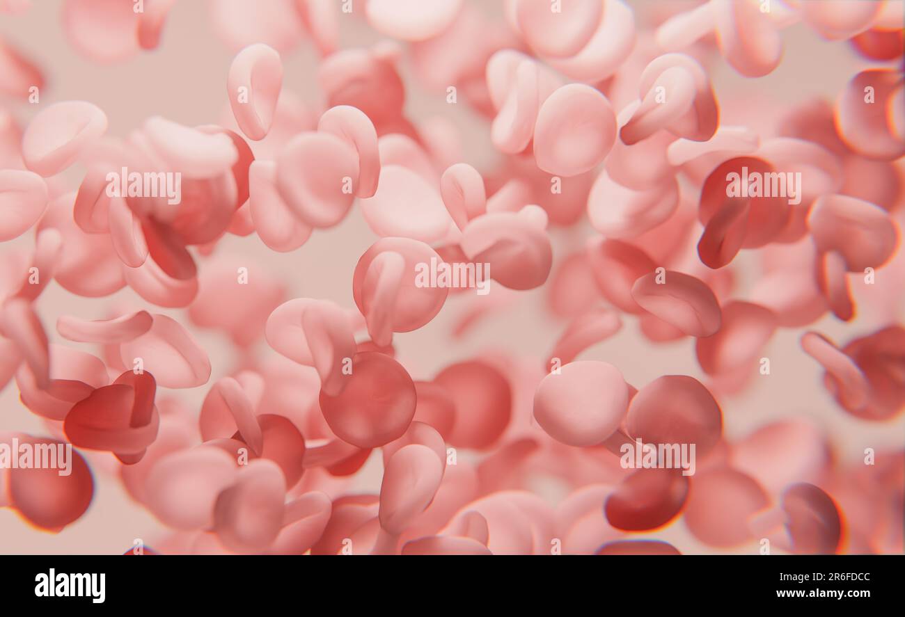 Red blood cells, erythrocytes. view from microscope, prevention and ...