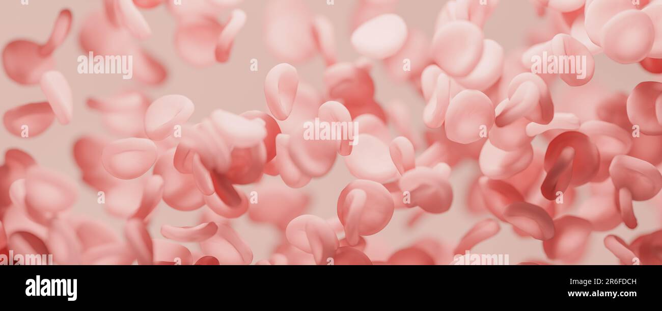 View under microscope, blood, red blood cells in living body, Flowing ...