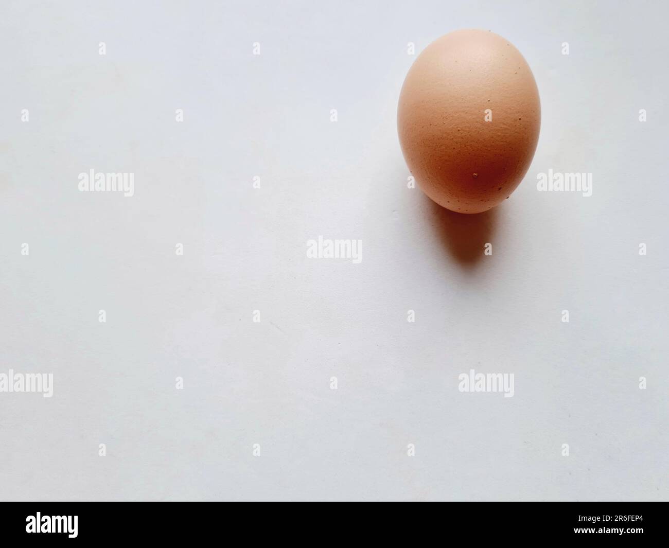 A single egg placed on a light-colored countertop Stock Photo - Alamy