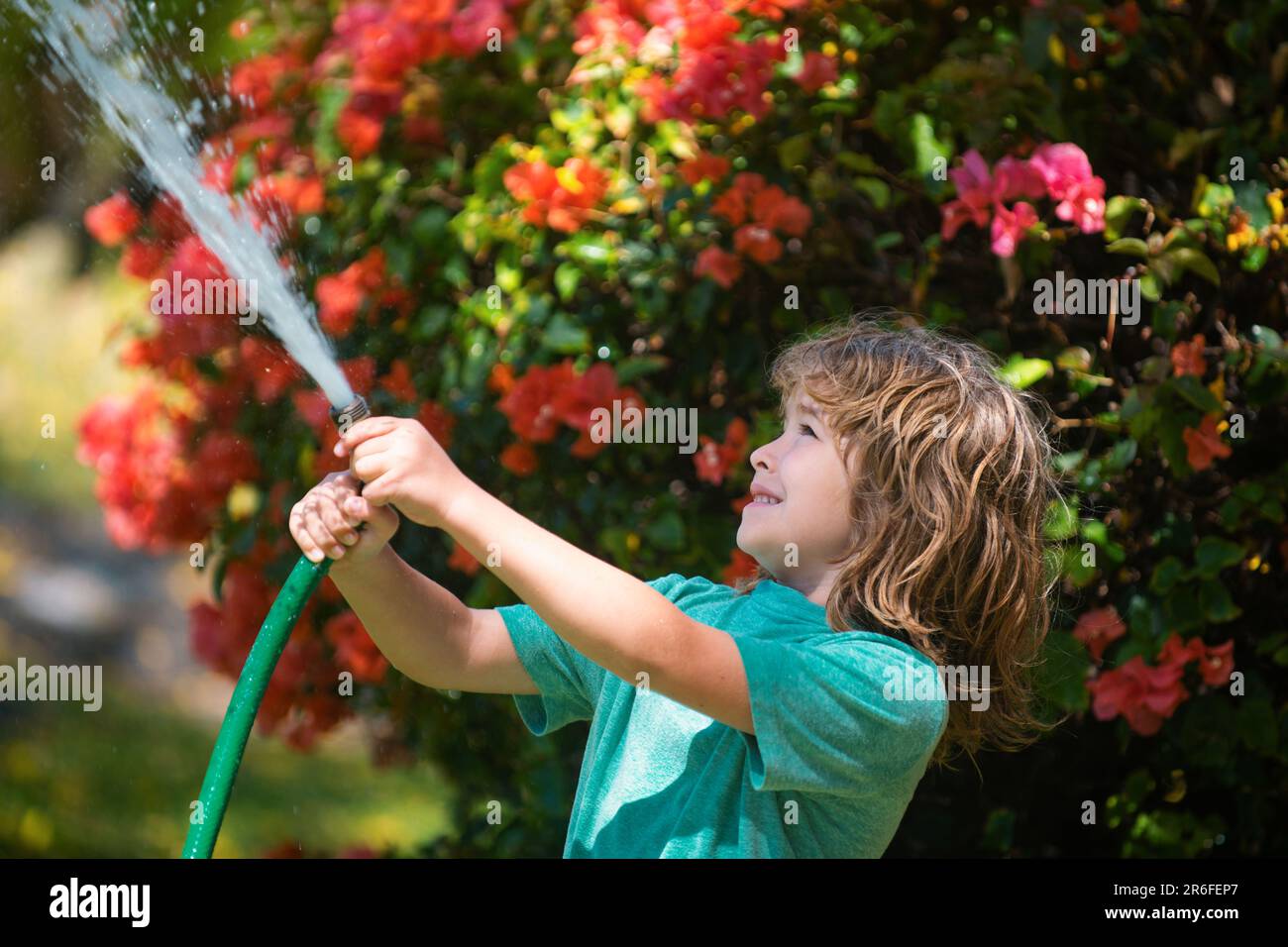 Child is watering the plant outside the house, concept of plant growing ...