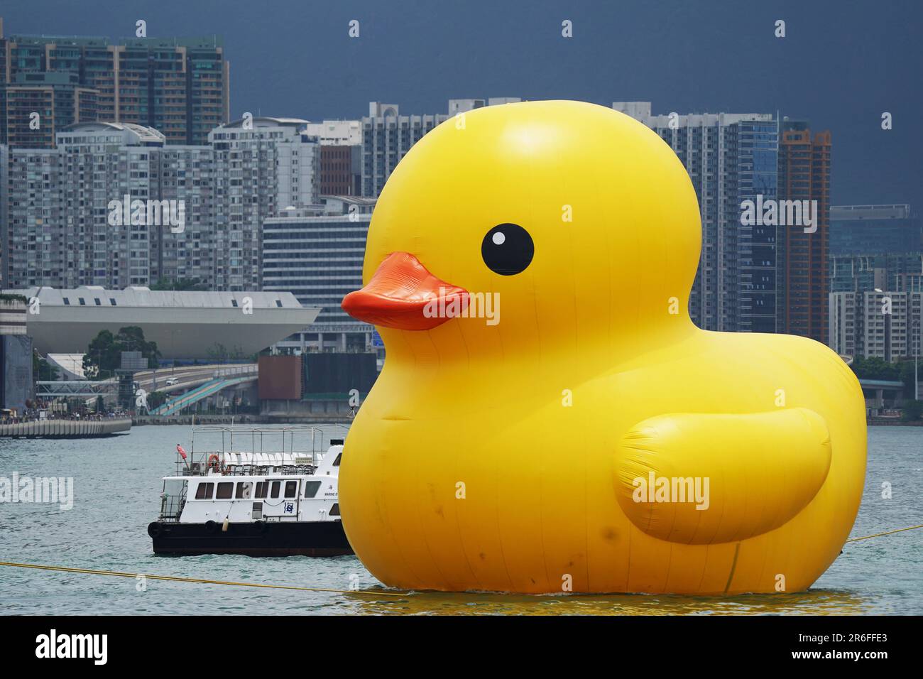 (230609) -- HONG KONG, June 9, 2023 (Xinhua) -- A giant yellow rubber ...
