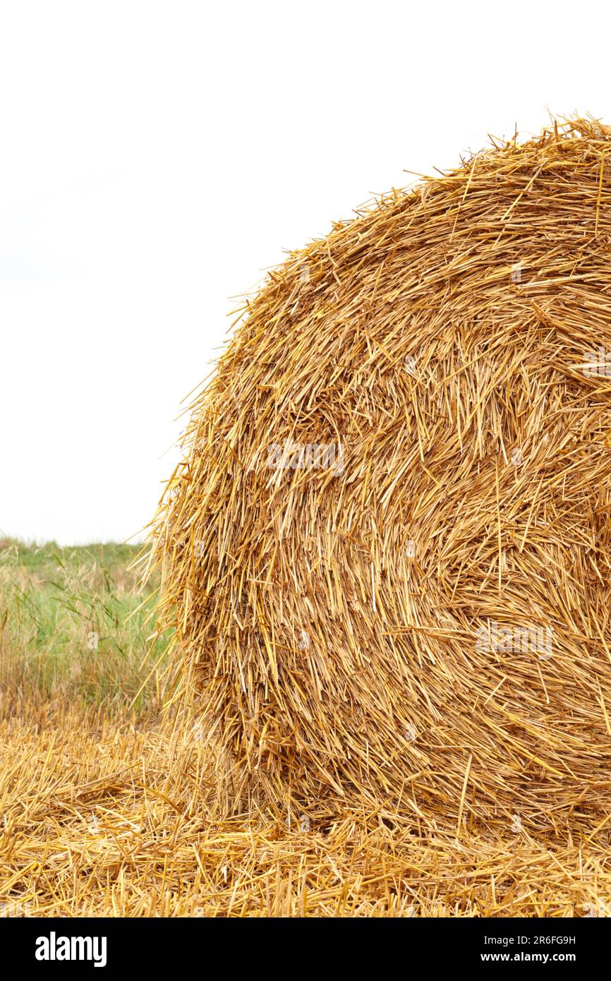 Hay bail harvesting in golden field landscape. Top view Stock Photo - Alamy
