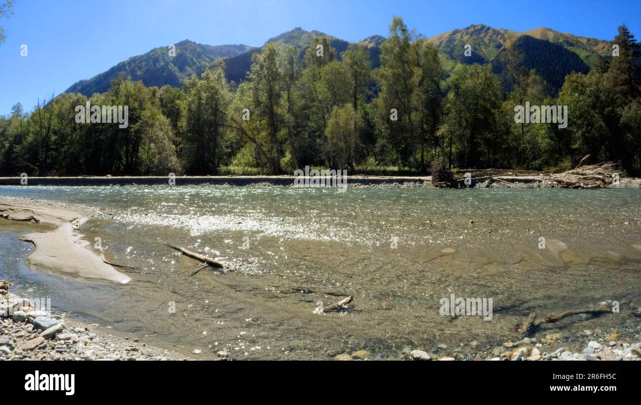 tiny clear cold stream with shingle rocks in Arkhyz mountain ridge ...