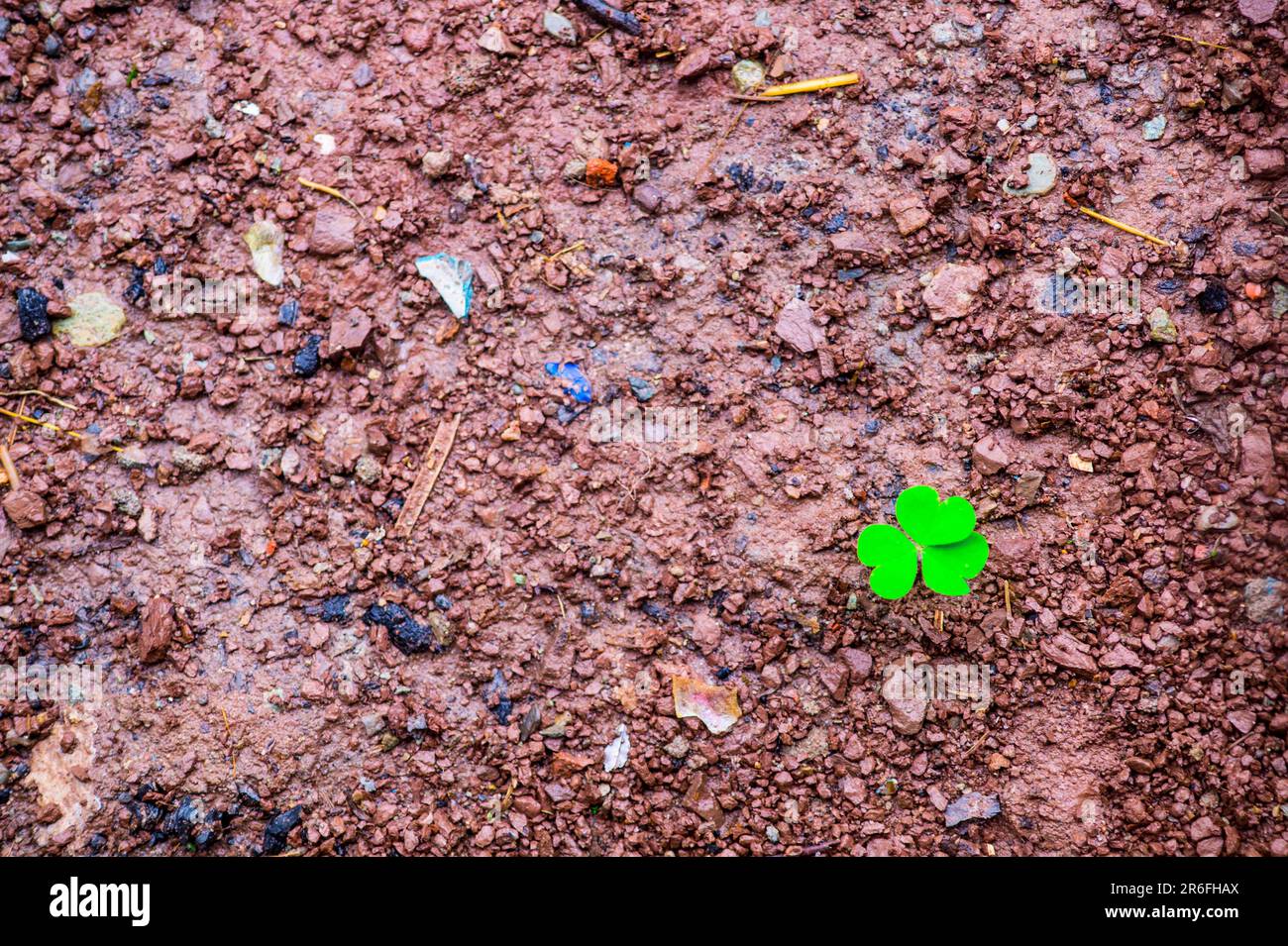 A vibrant green sprout growing in a dry, dusty field, with dirt and ...