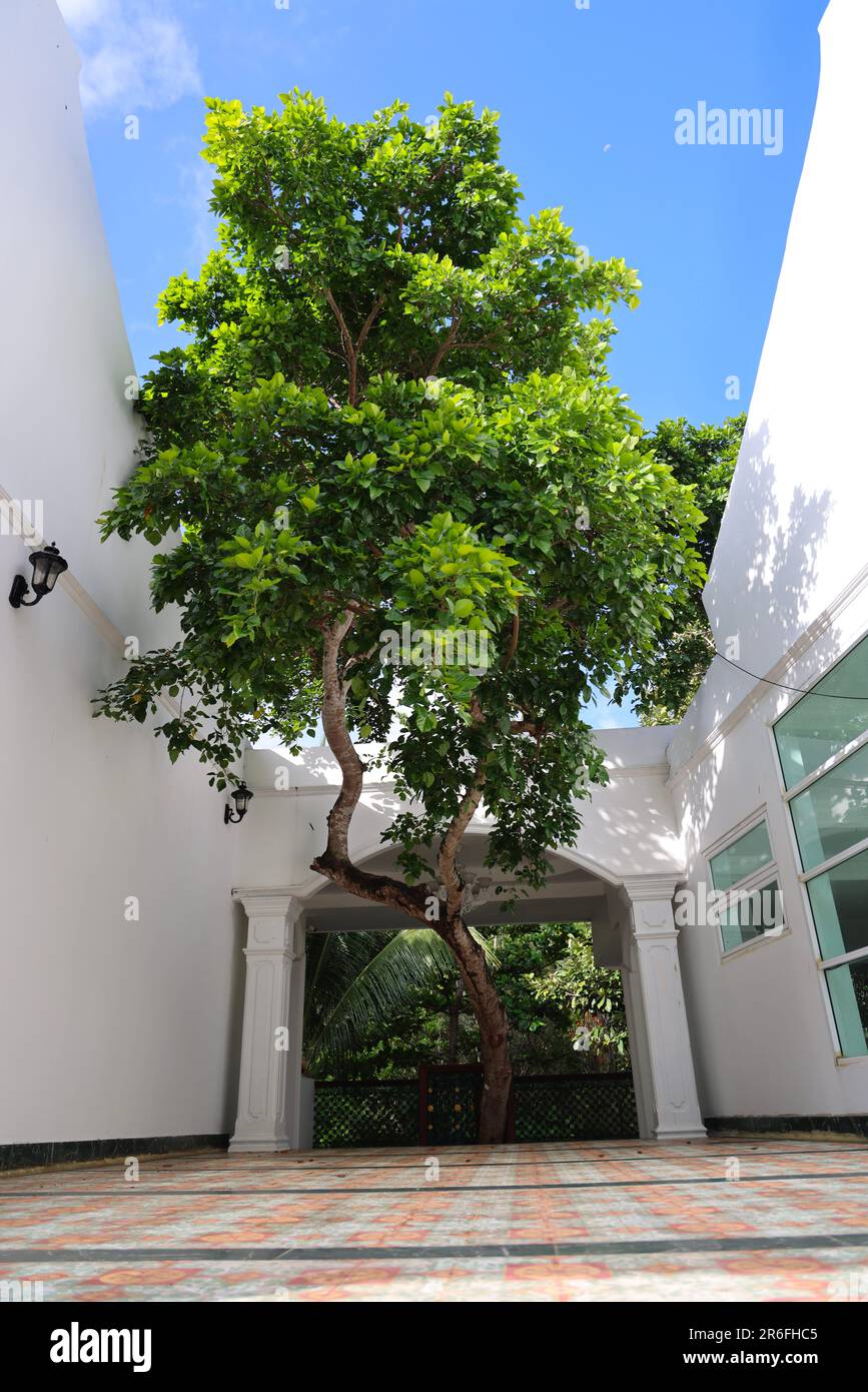 Island sustainability hi-res stock photography and images - Alamy