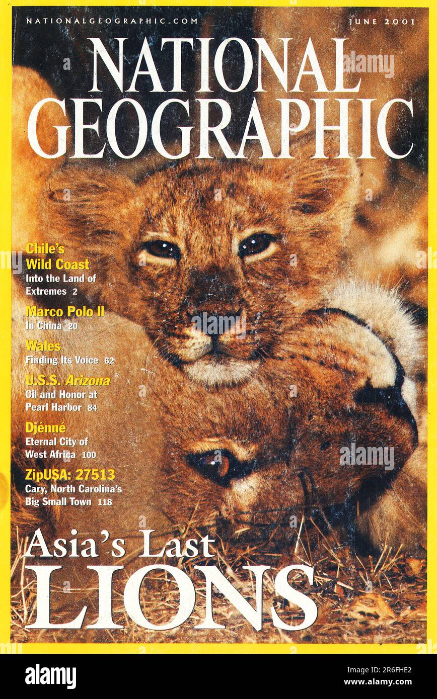 National Geographic Magazine Cover Animals