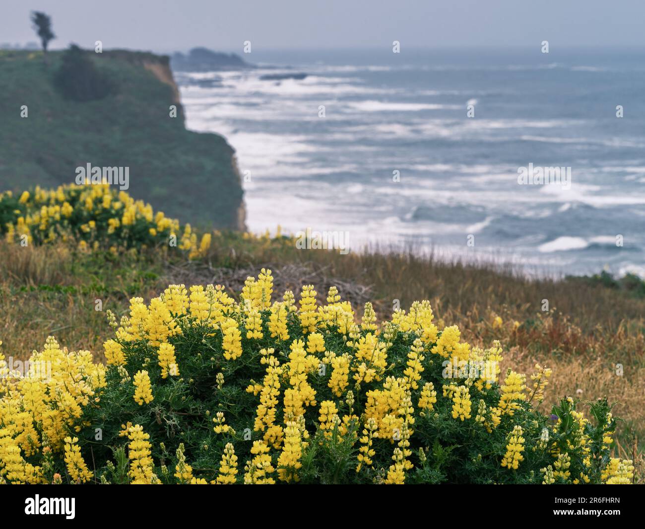 The Great Highway heading south from San Francisco offers a neat ...