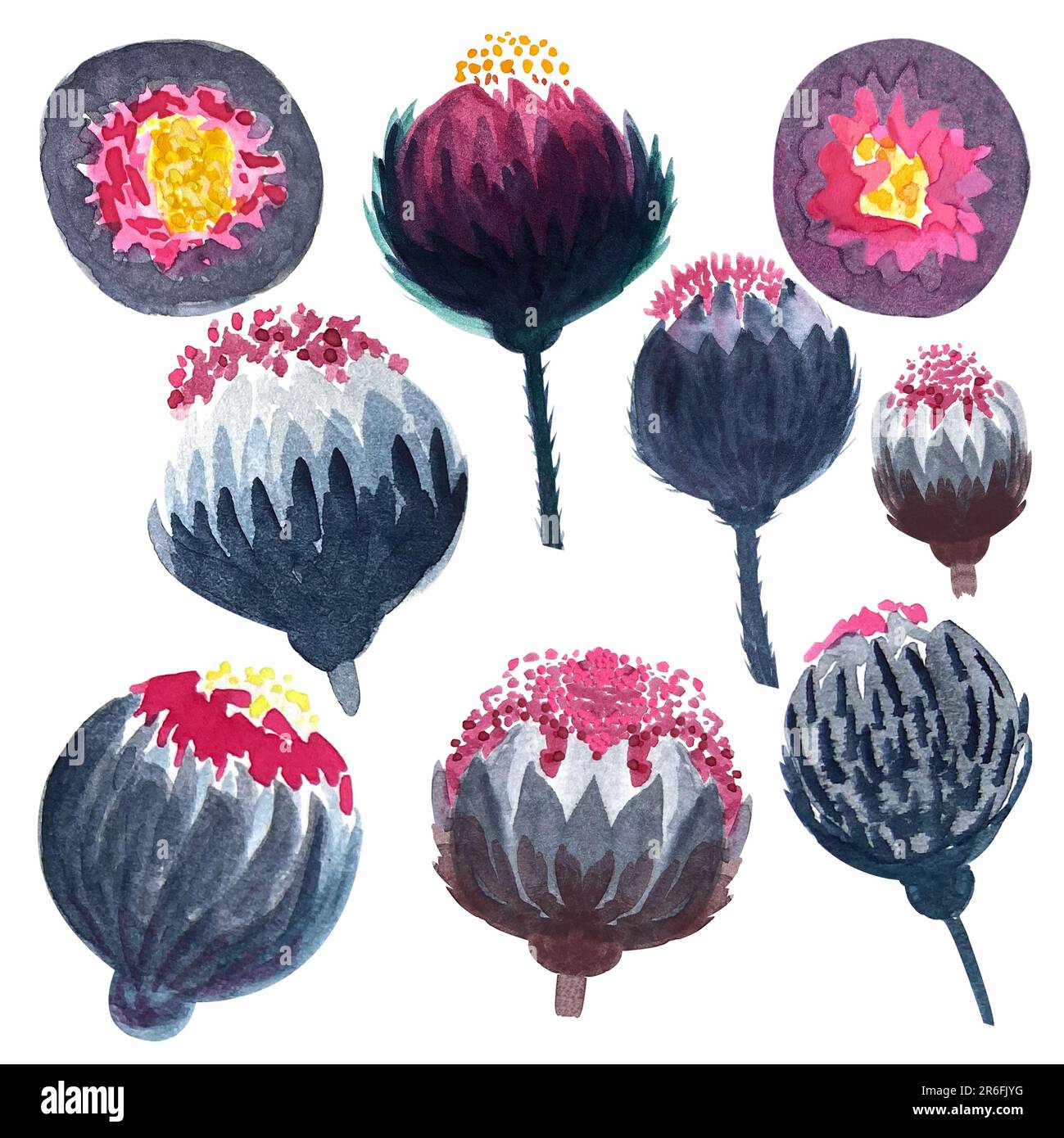 Dark pink moody fantasy flower watercolor illustrations Stock Photo - Alamy