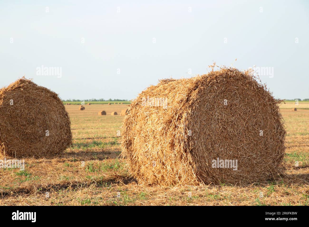 Hay bail harvesting in golden field landscape. Top view Stock Photo - Alamy