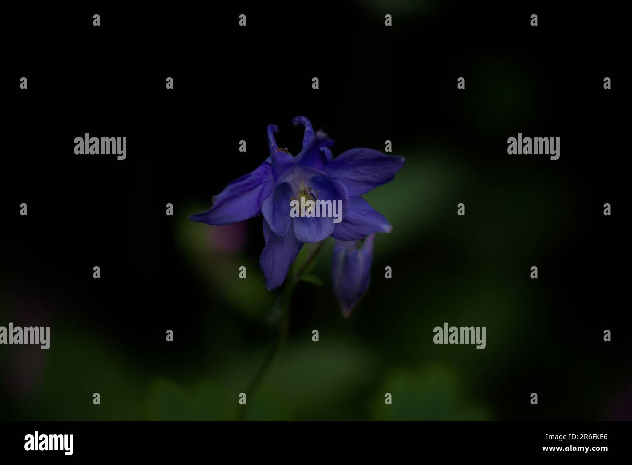 Examples of springtime hi-res stock photography and images - Alamy