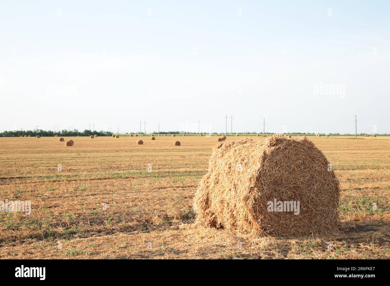Hay bail harvesting in golden field landscape. Top view Stock Photo - Alamy