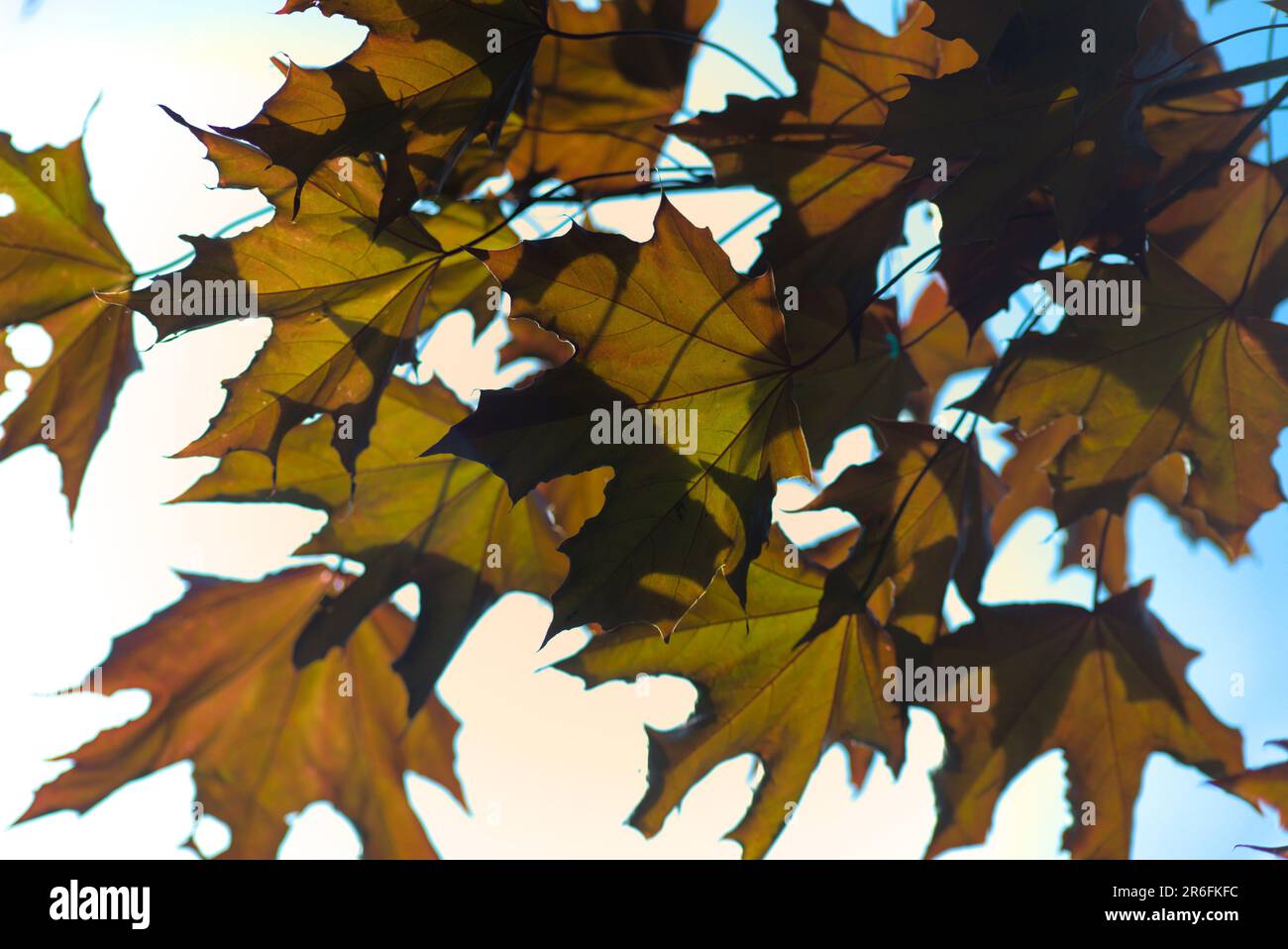 Examples of springtime hi-res stock photography and images - Alamy