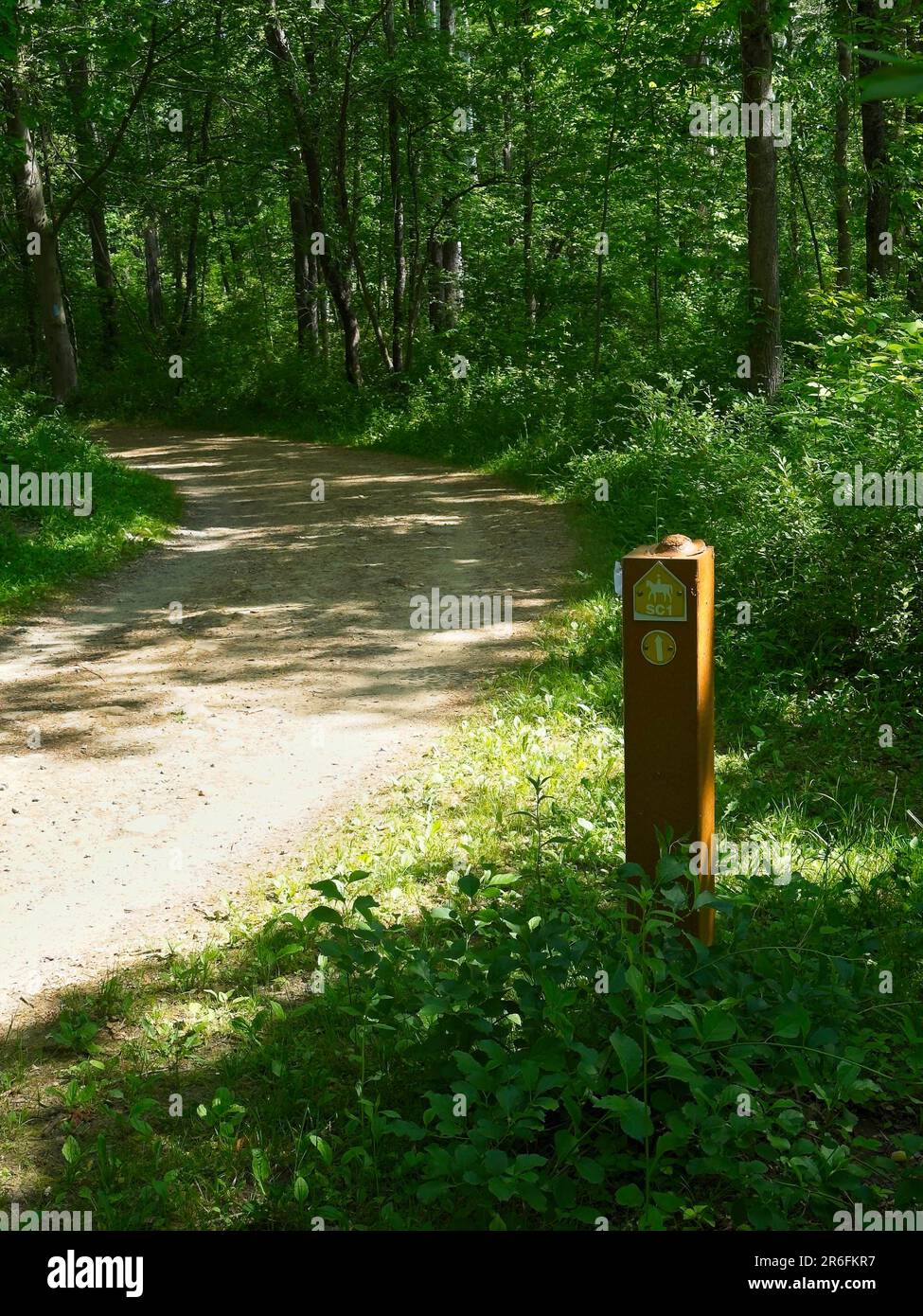 A trail-side posts stands as a marker for a bridle trail in a wooded ...