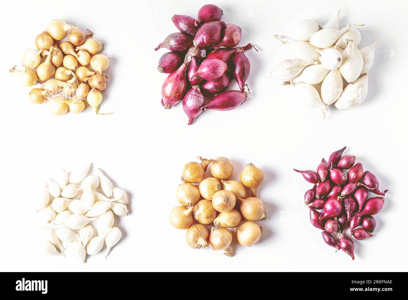 An image of multiple onions on a white background, arranged in a neat ...