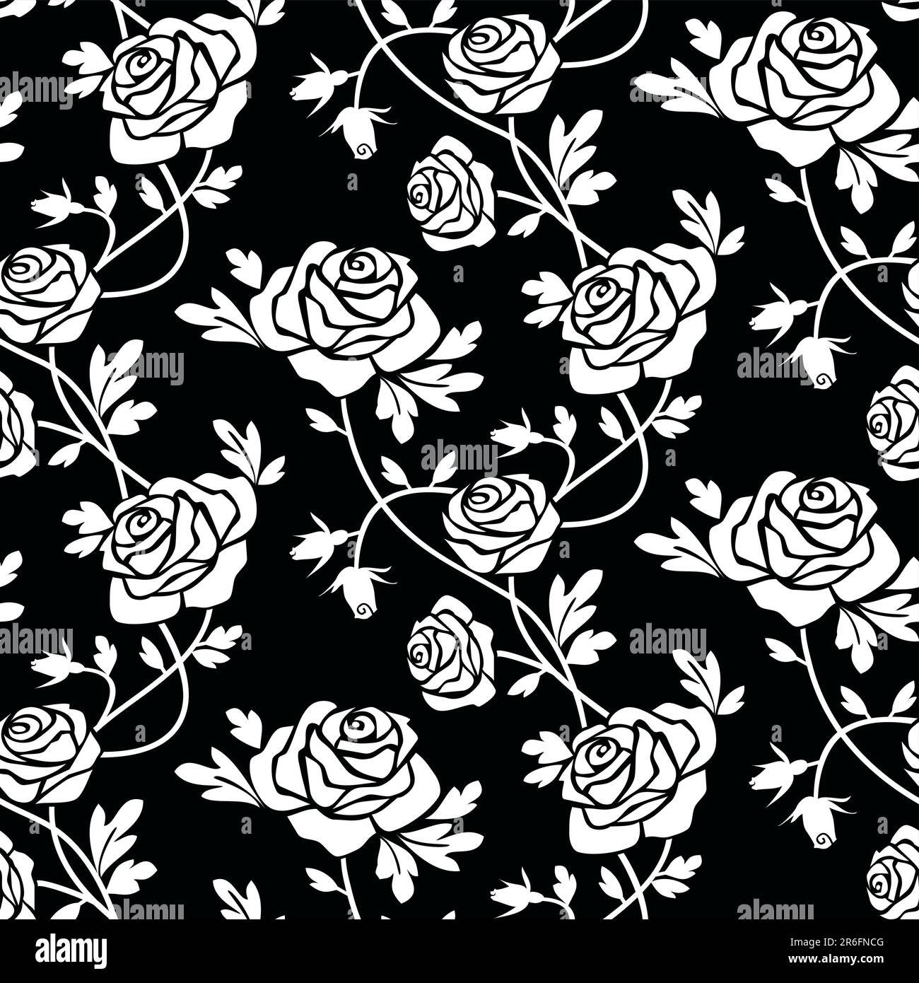 Romantic white roses at black background, seamless pattern. Full ...