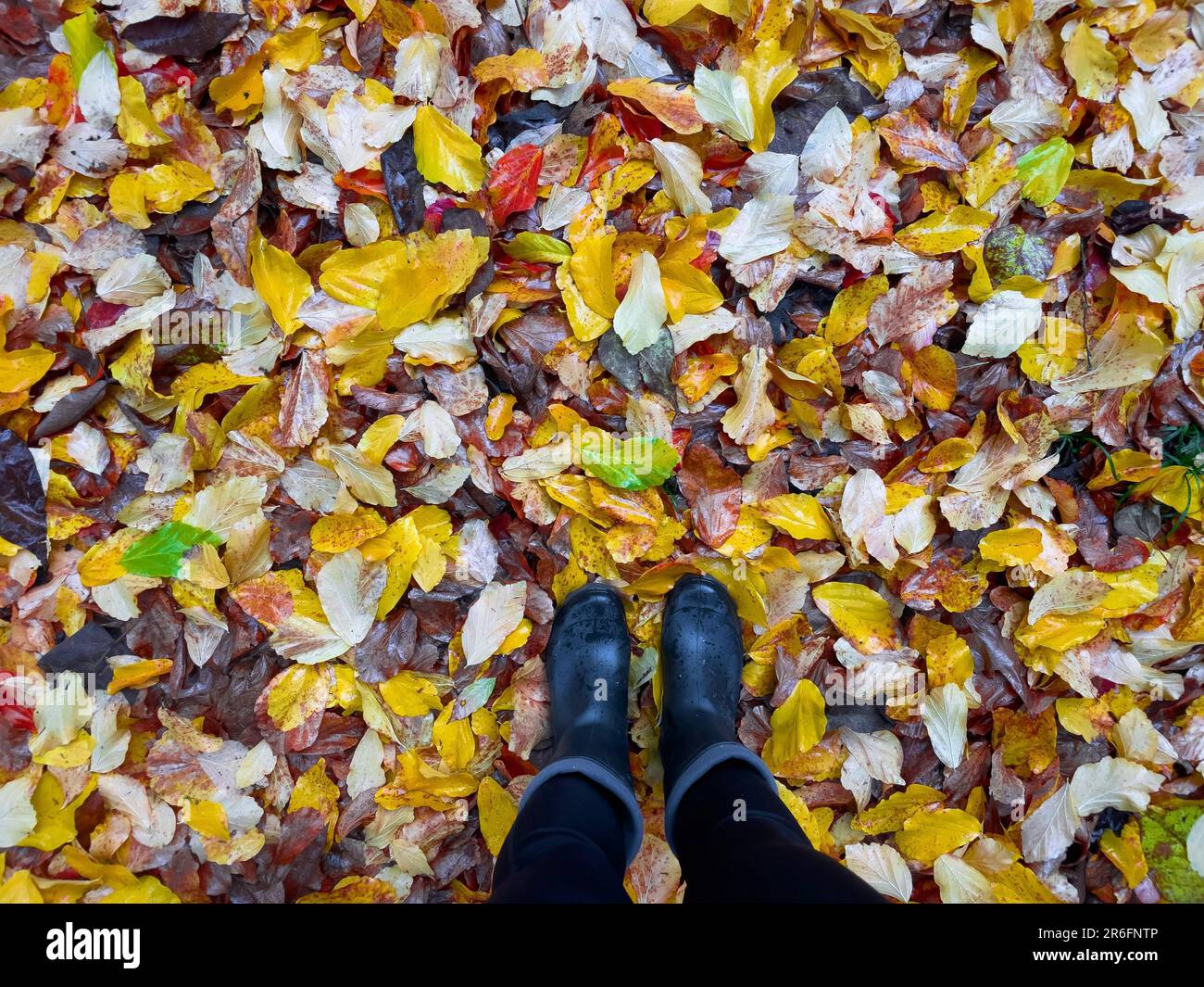 A young adult wearing black leather boots standing in a pile of ...