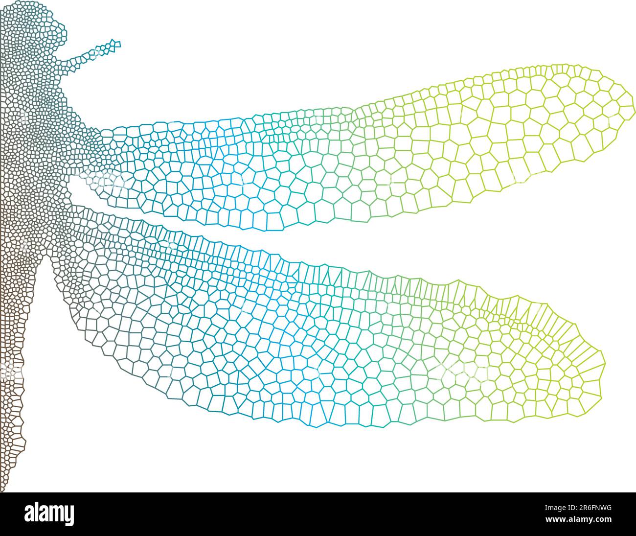dragonfly wing with delicate texture, vector Stock Vector Image & Art - Alamy