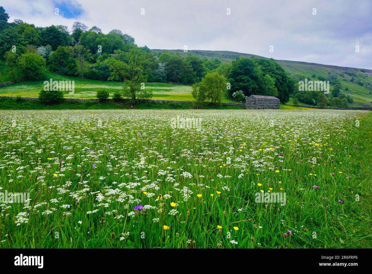 Yorkshire dales tourism hi-res stock photography and images - Alamy