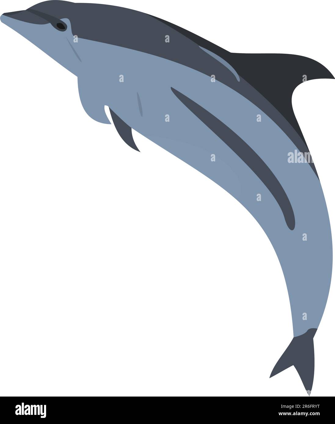 Realistic illustration of a dolphin - vector Stock Vector Image & Art ...