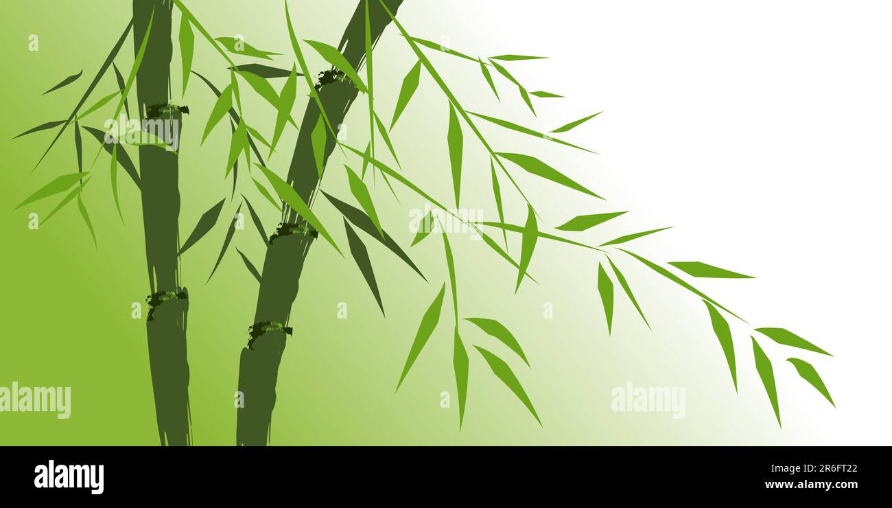 design of chinese bamboo trees, vector illustration Stock Vector Image ...
