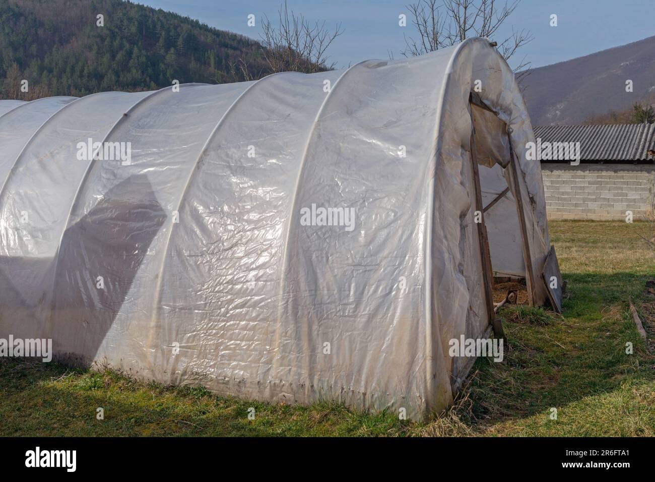 Affordable Plastic Structure Greenhouse at Farm Agriculture Stock Photo ...