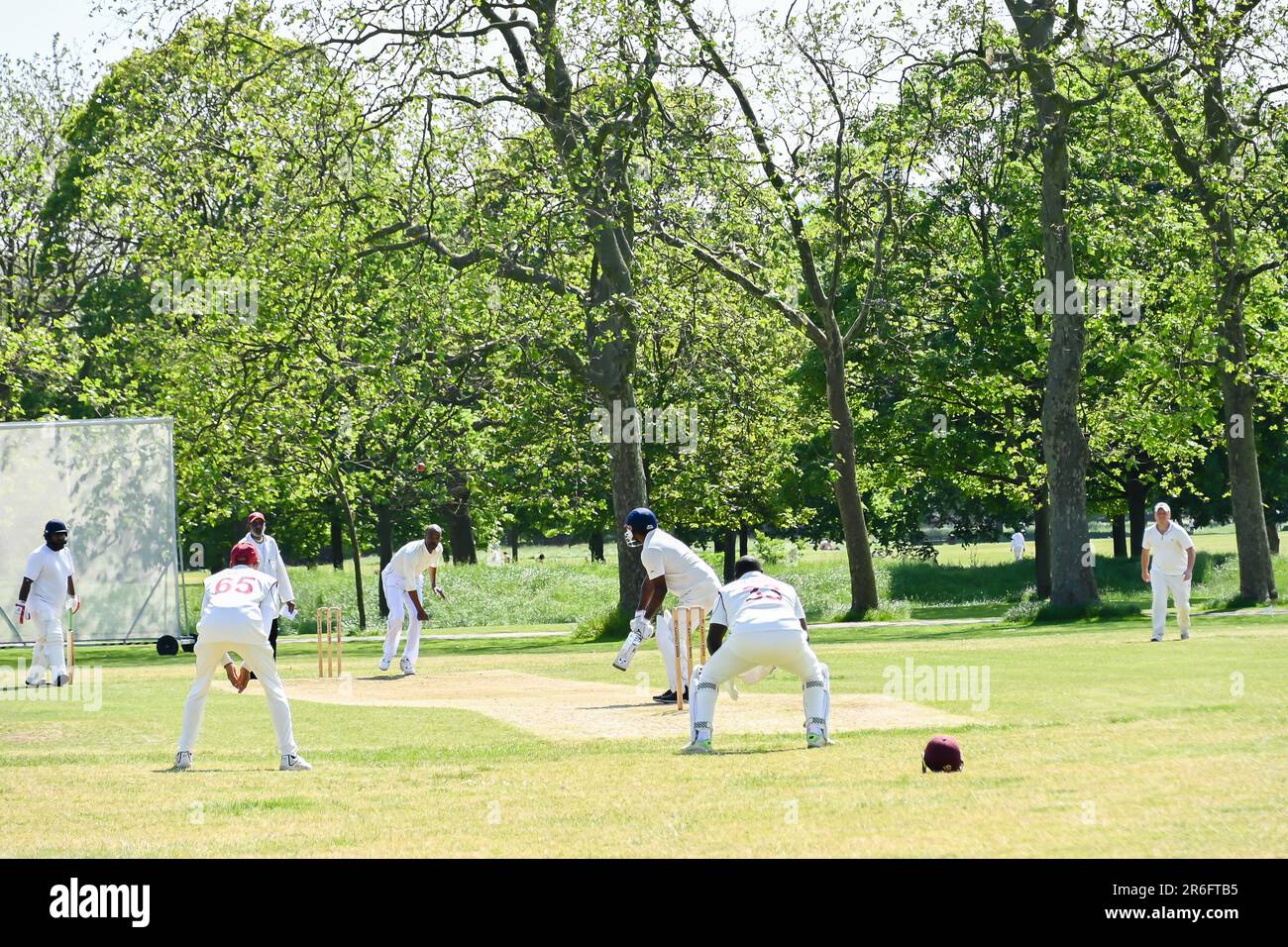 Cricket Batting Bowler Action Cricket game in London park game batsman ...