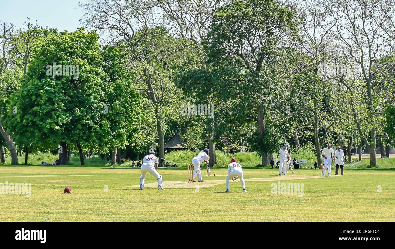 Cricket Batting Bowler Action Cricket game in London park game batsman ...