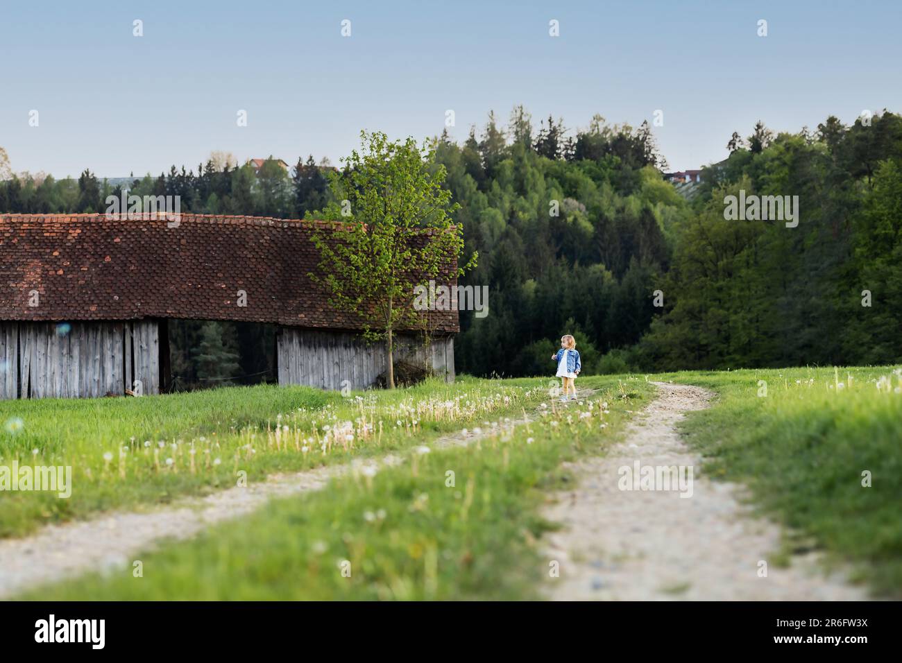 a deep perspective in the rural landscape with a small child Stock ...