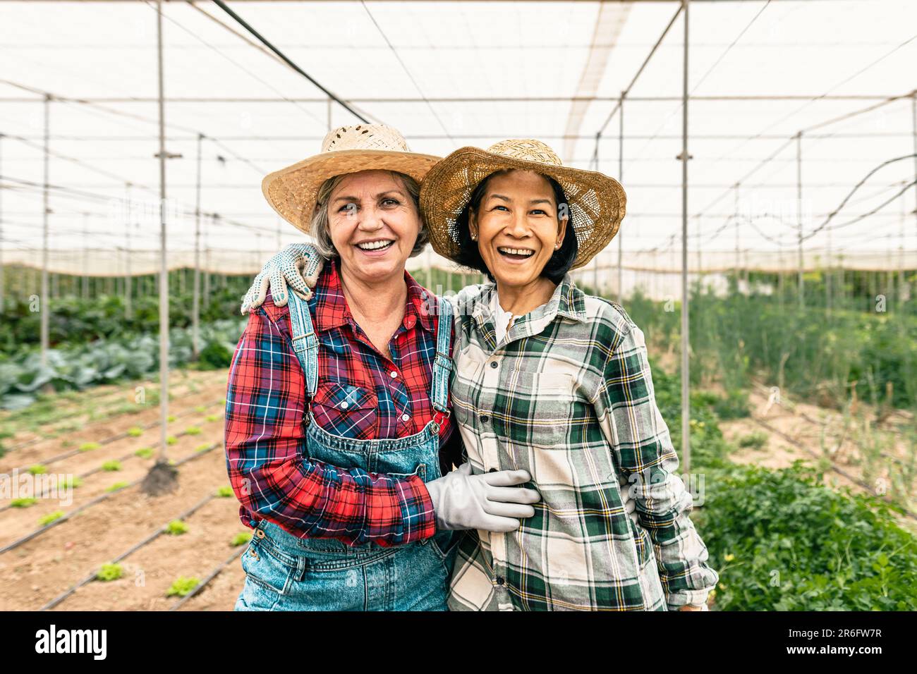 Happy multiracial women farmers smiling at the camera while working ...