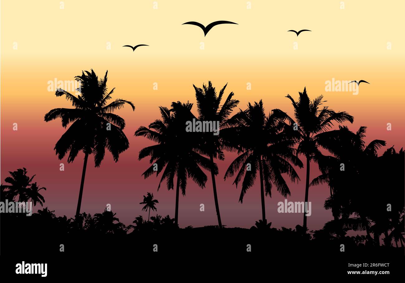 Pattern palm trees cartoon Stock Vector Images - Alamy