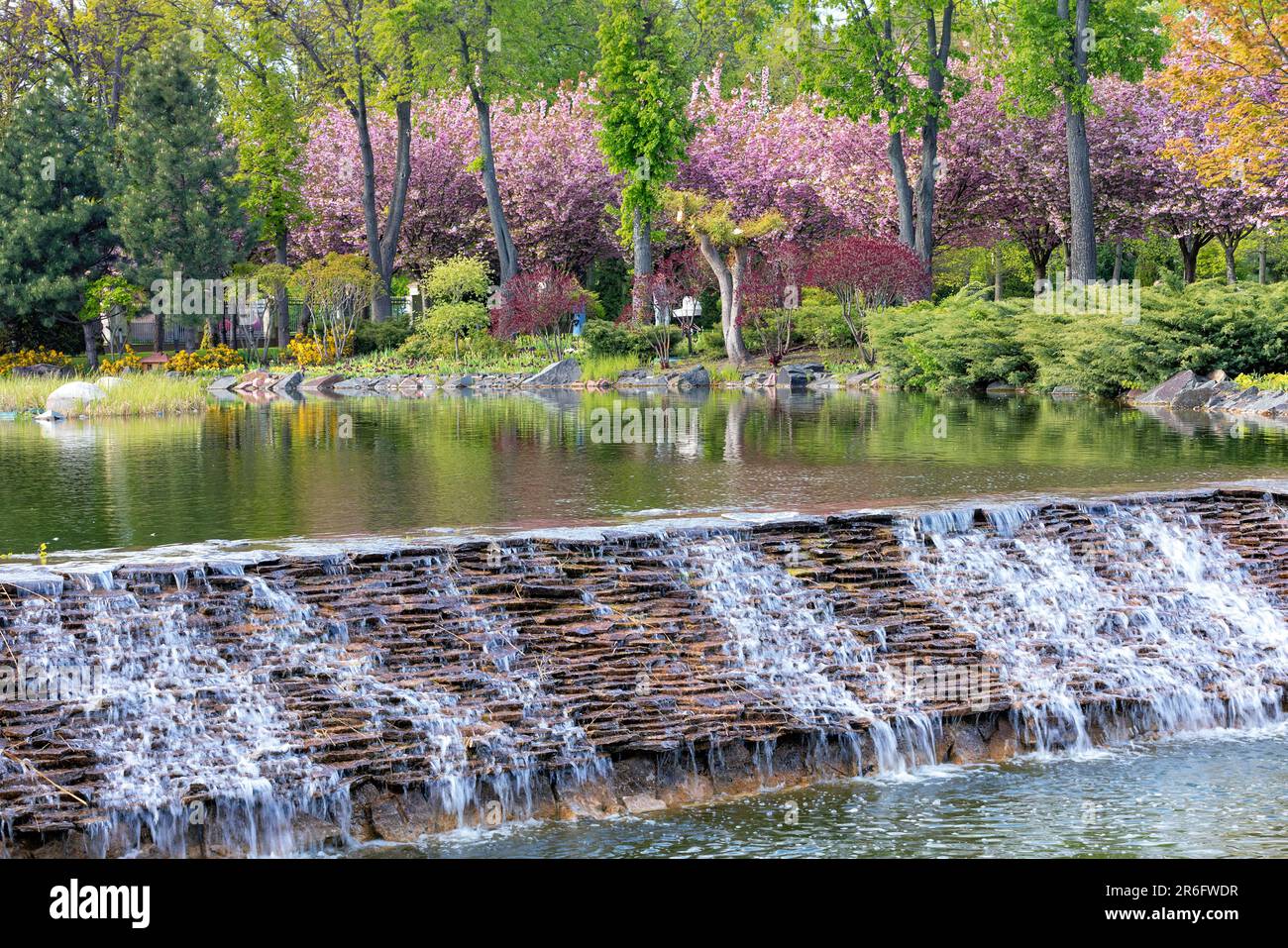 Cherry Blossom Gardens Waterfalls