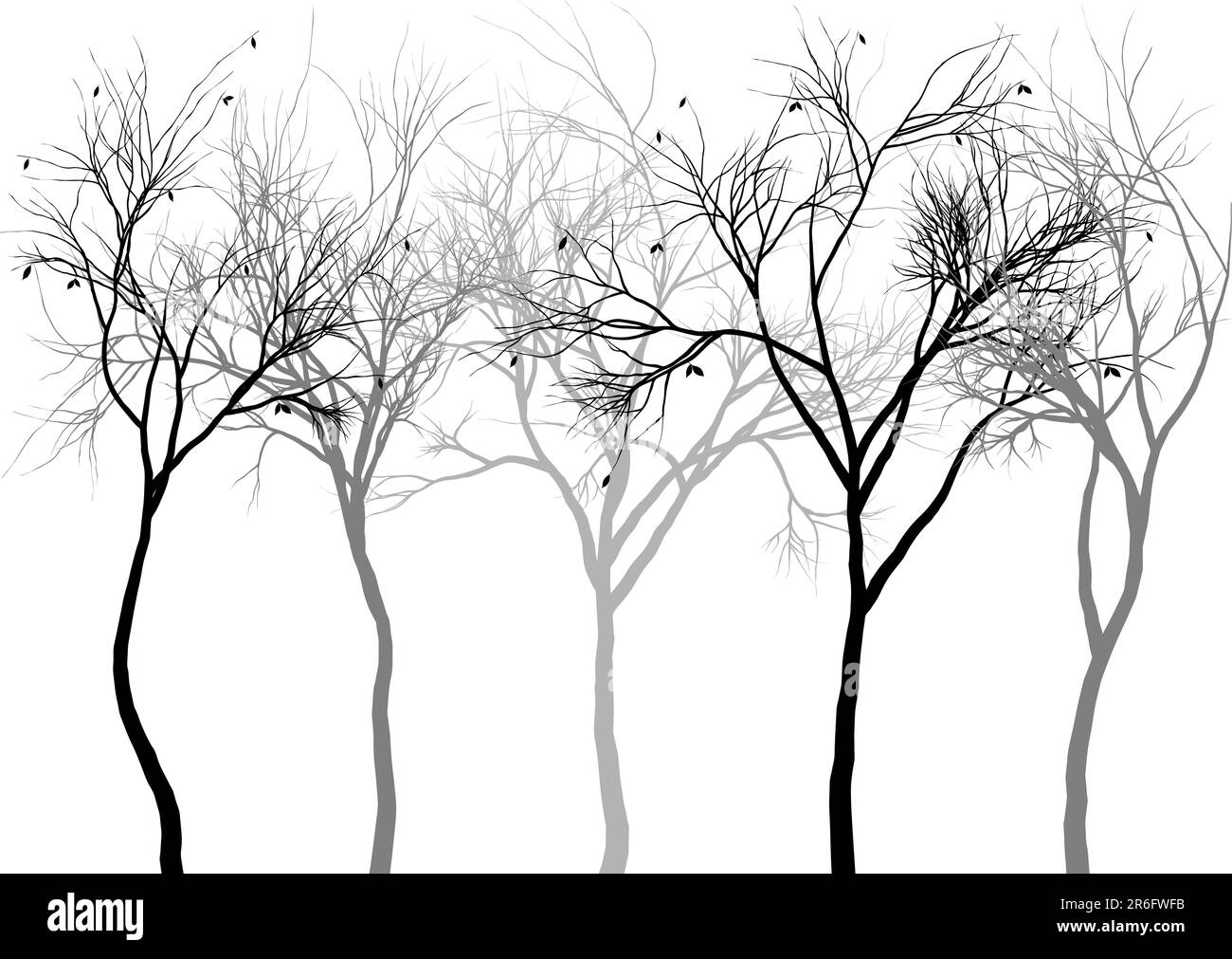 group of detailed tree silhouettes, vector Stock Vector Image & Art - Alamy