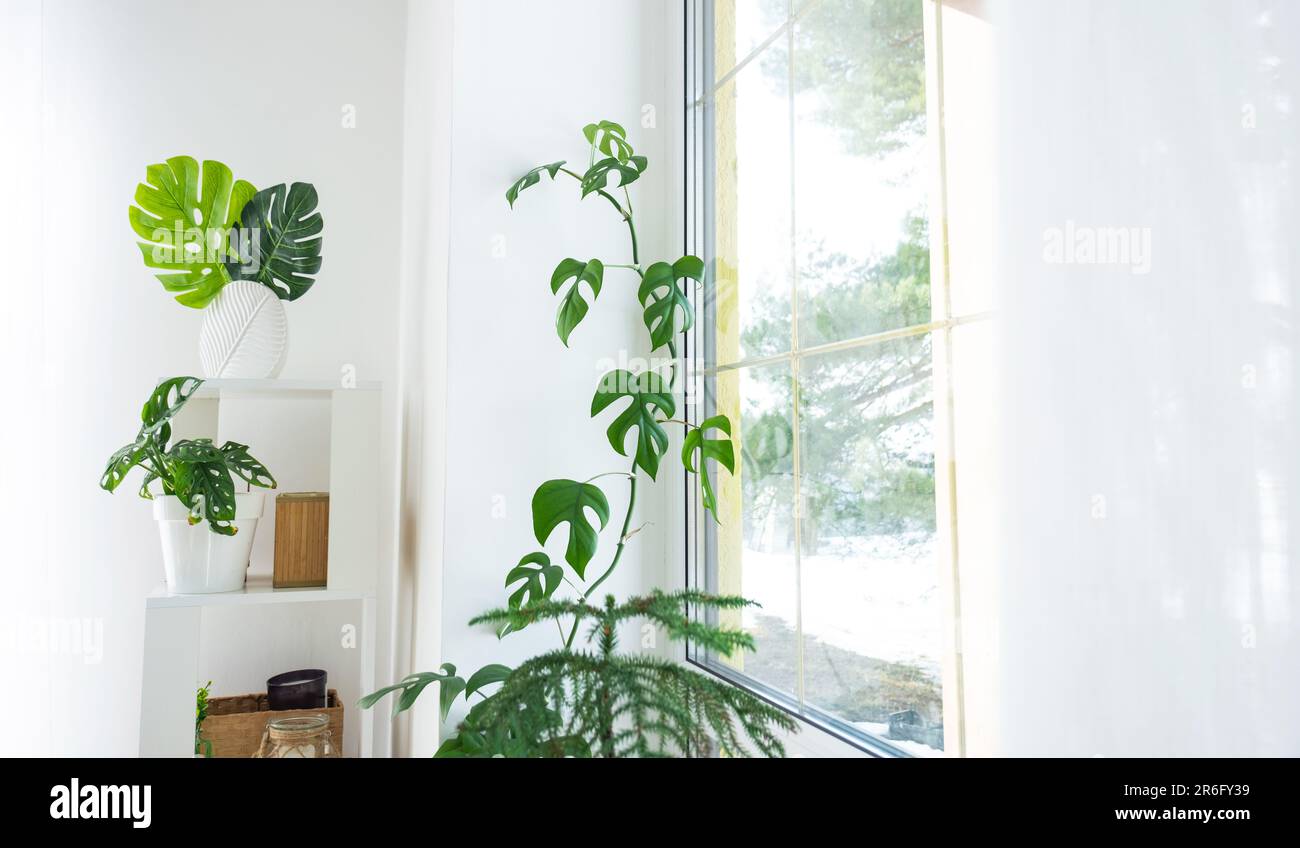 The interior of the house with large windows with a layout and home ...